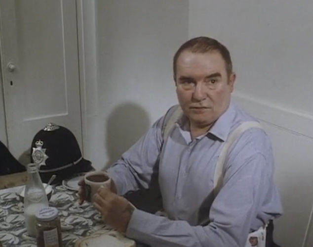 Picture of The Ups and Downs of a Handyman