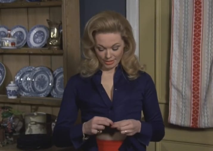 Picture of Confessions of a Window Cleaner