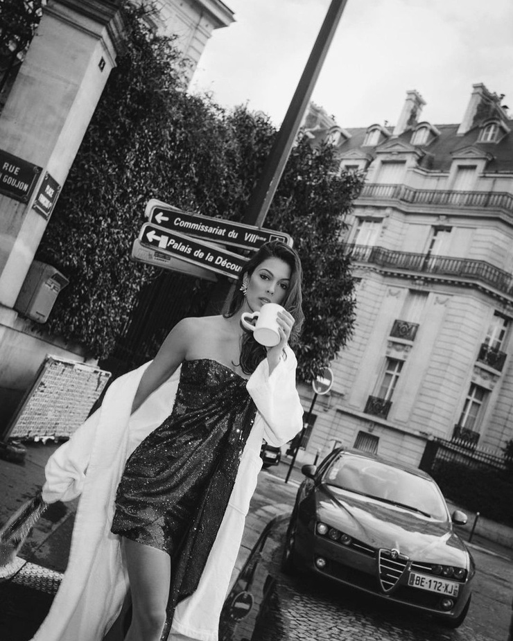 Iris Mittenaere image