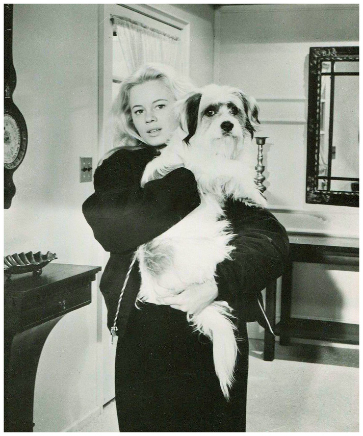 Toby Michaels, Tiger