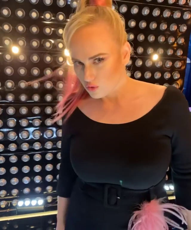 Picture of Rebel Wilson