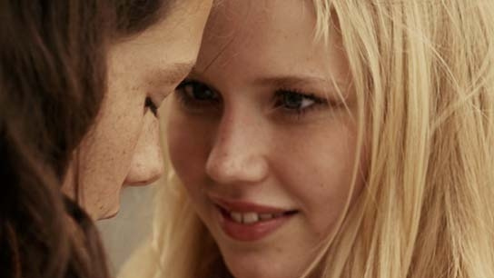 Picture of Tumbling Birds