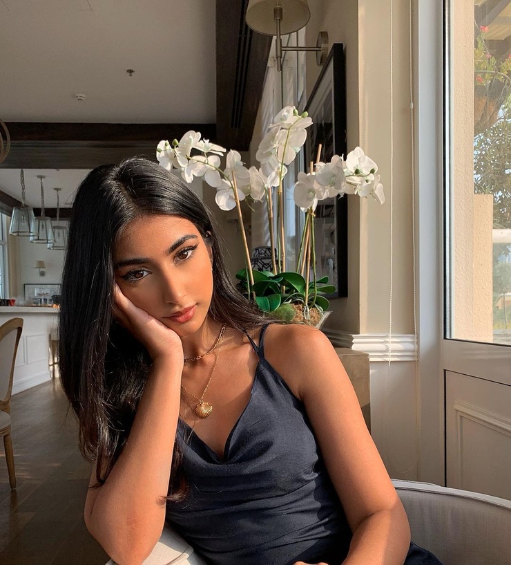 Iffat Marashi picture