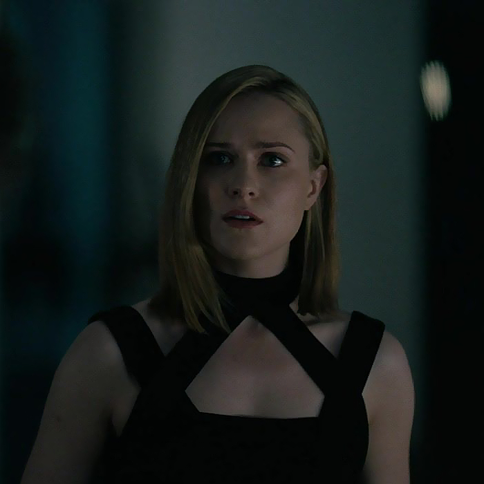 Evan Rachel Wood image