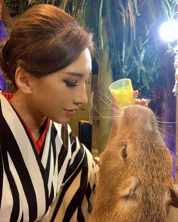 Picture of Nonsummerjack