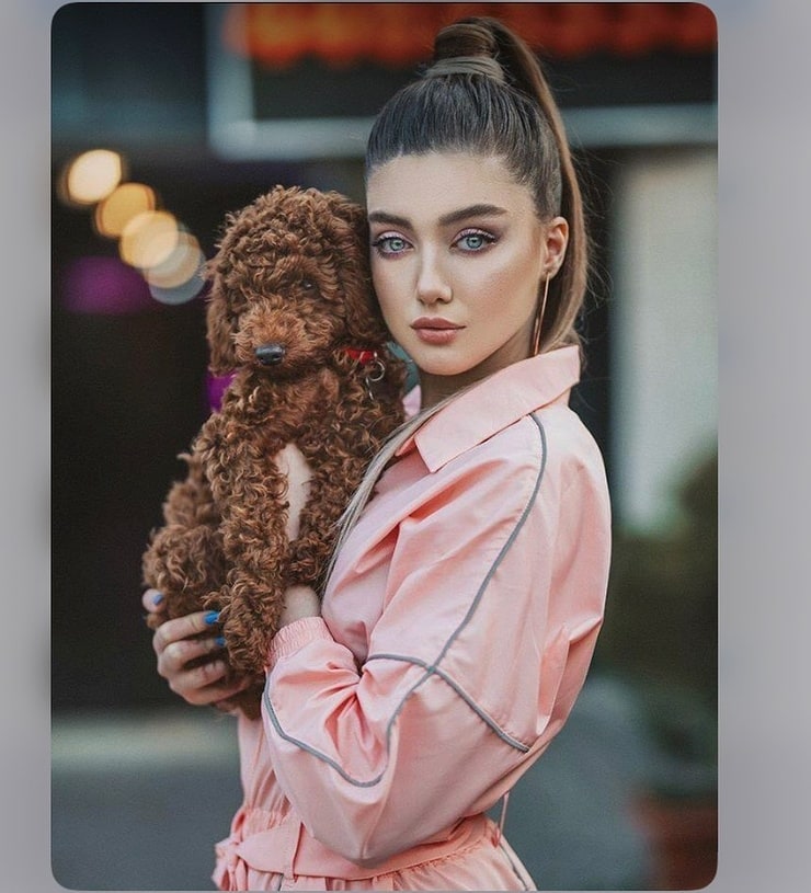 Picture of Negin Haghdost