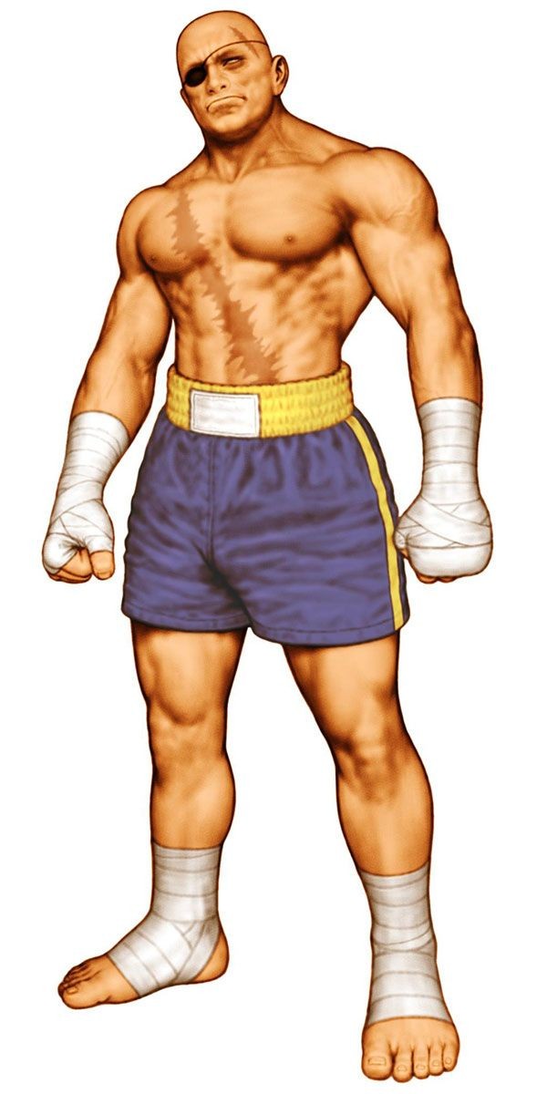 Picture of Sagat