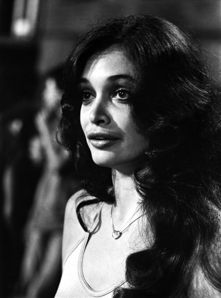 Picture of Deborah Van Valkenburgh