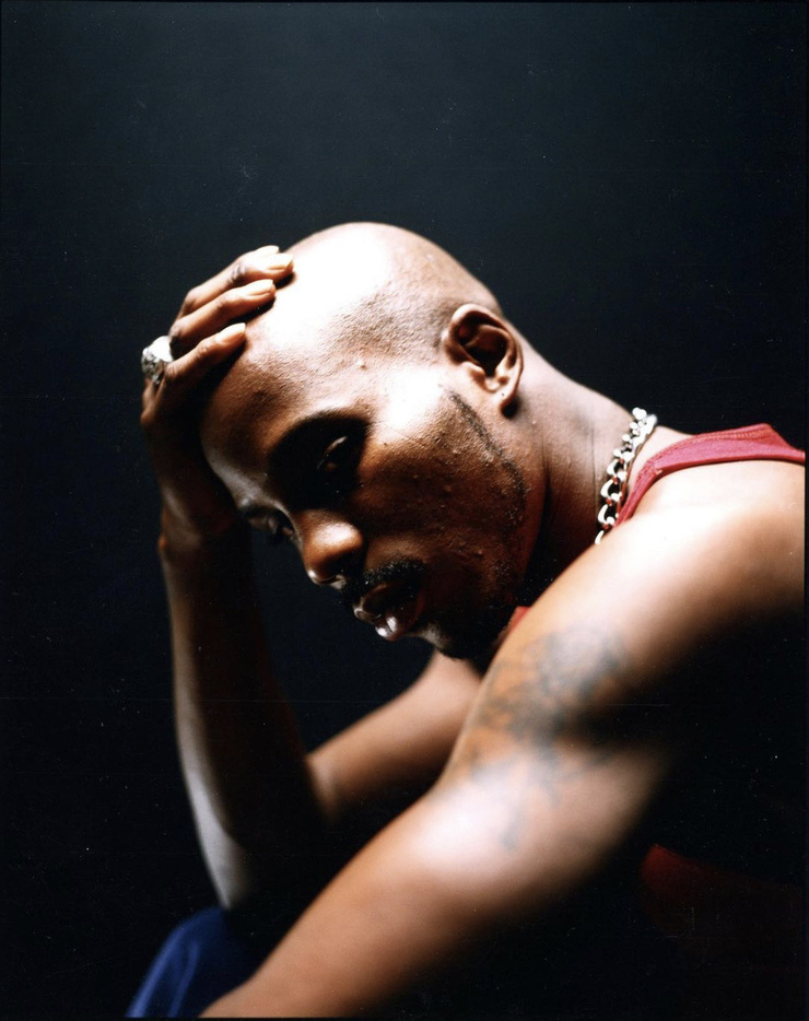 Picture of DMX