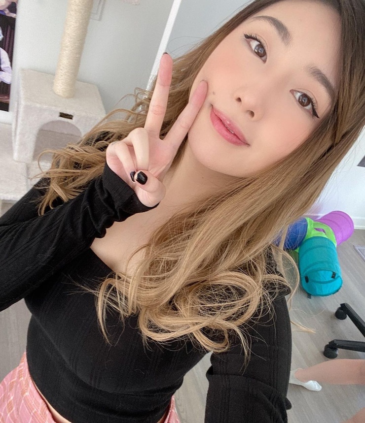 Picture of Choco Bars