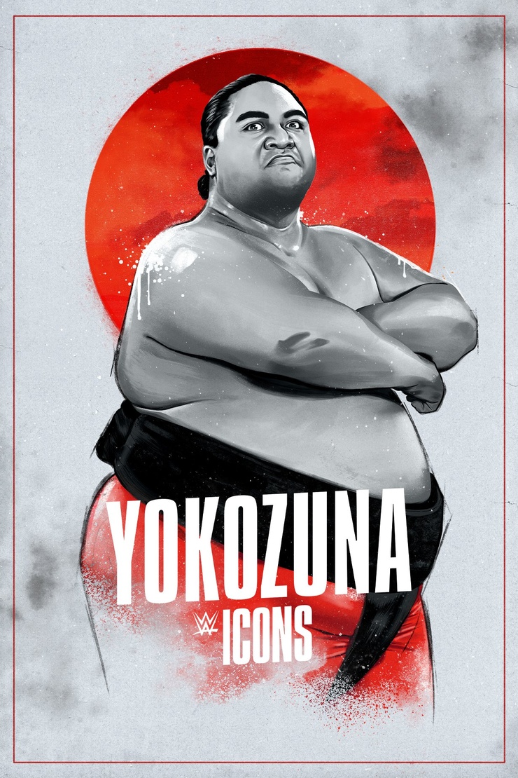 Picture of WWE Icons