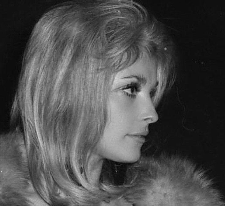Picture of Sharon Tate
