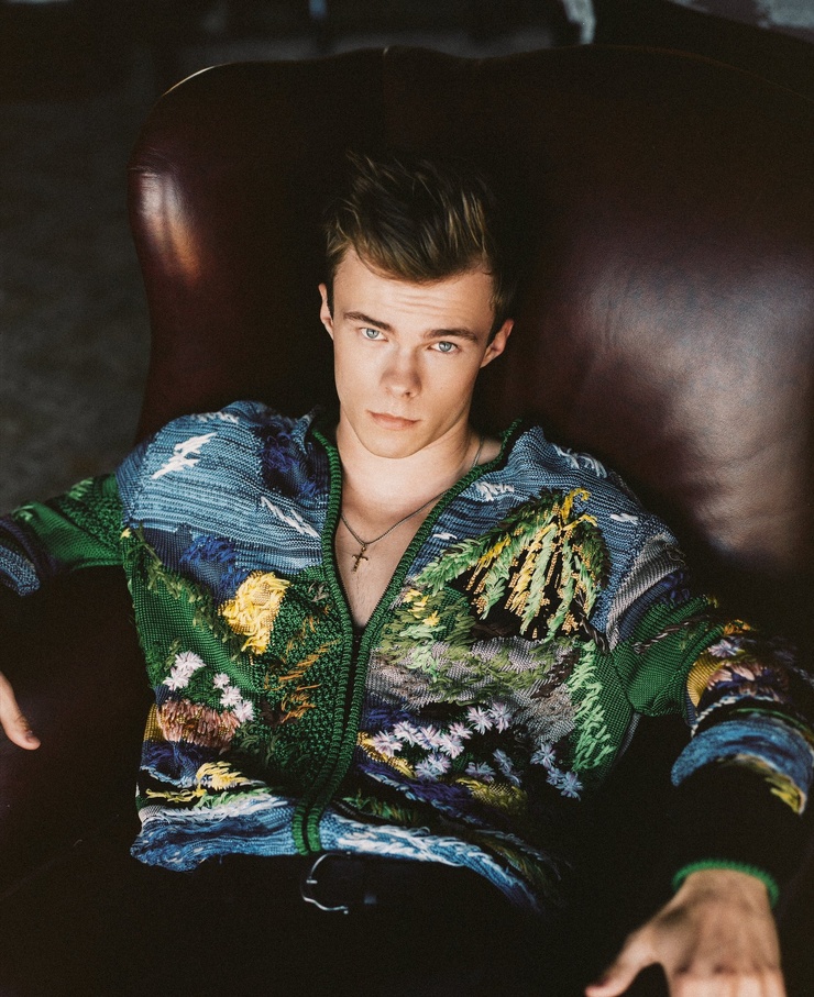 Nicholas Hamilton picture