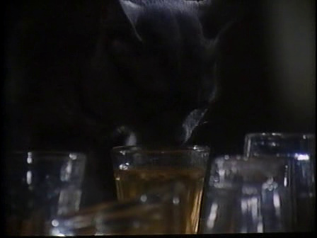 Picture of I Am a Cat