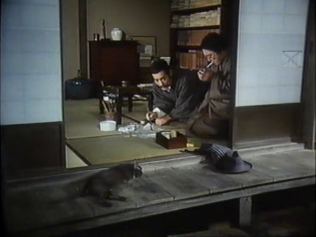 Picture of I Am a Cat