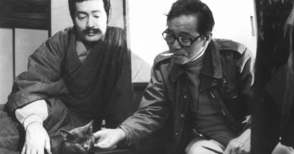 Picture of I Am a Cat