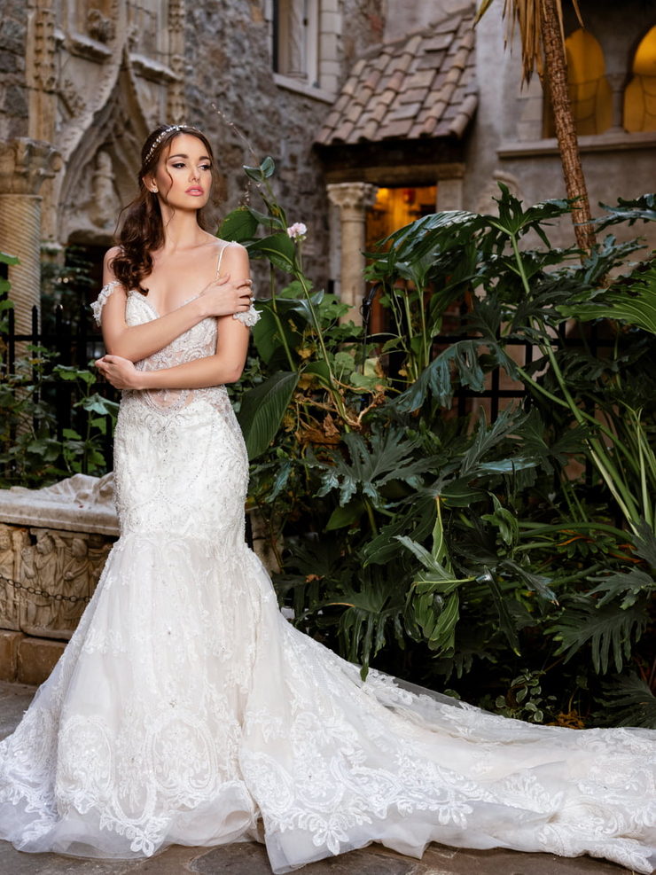 Picture of Mary Volpe