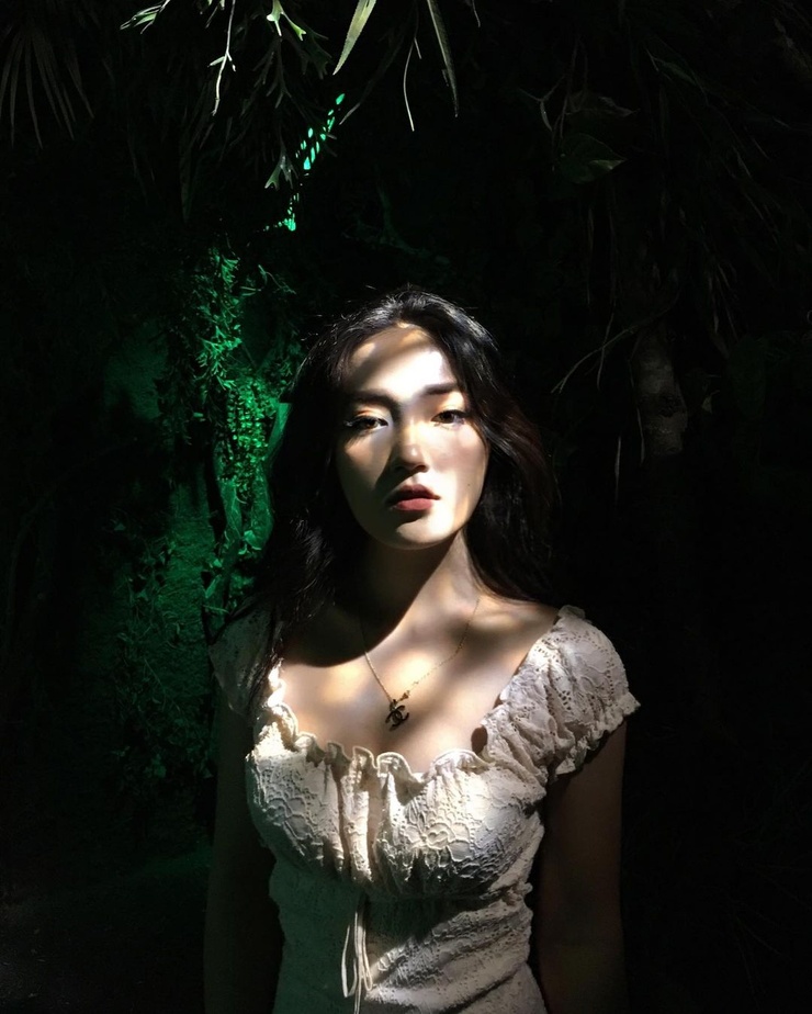 Picture of Niwa Edingo