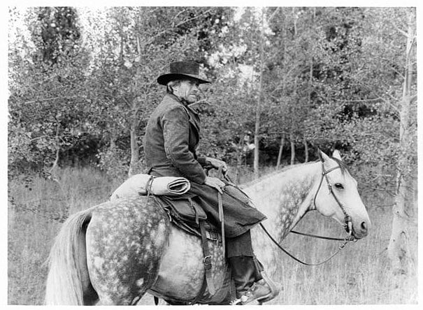 Picture of Pale Rider