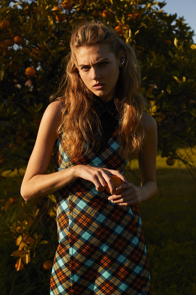 Image of GRACE CAMERON