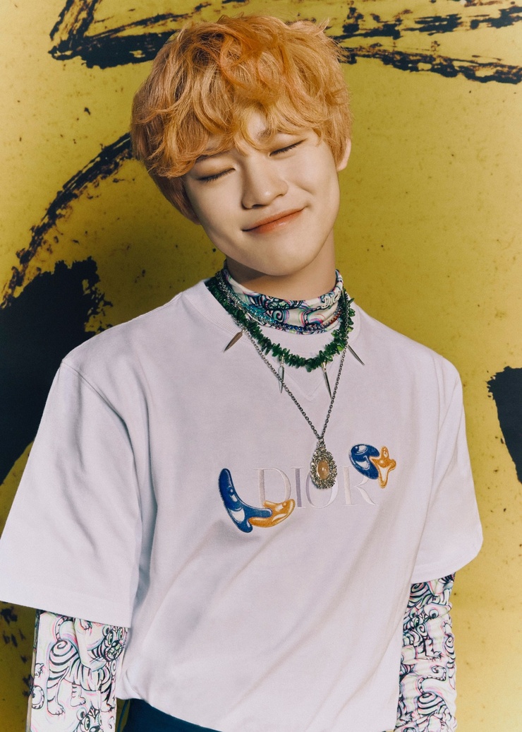 Chenle image