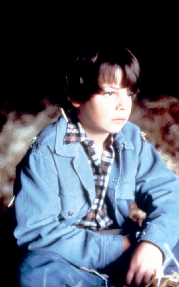 Picture of The Stone Boy (1984)