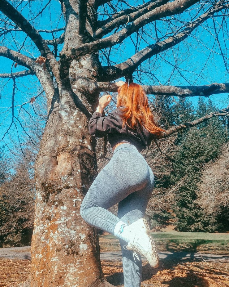 Picture of Mars Noire