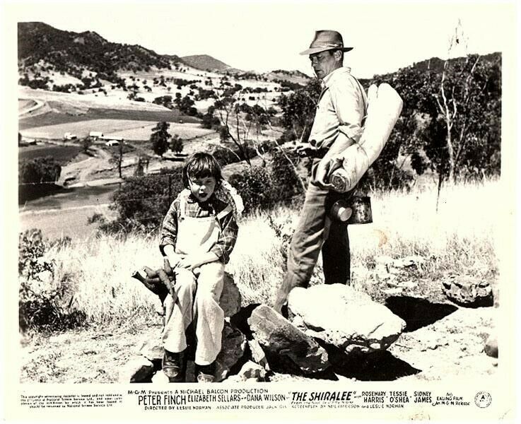 Picture of The Shiralee