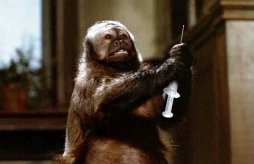 Picture of Monkey Shines