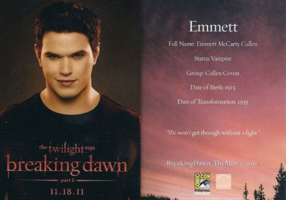 The Twilight Saga: Breaking Dawn: Part 1 image