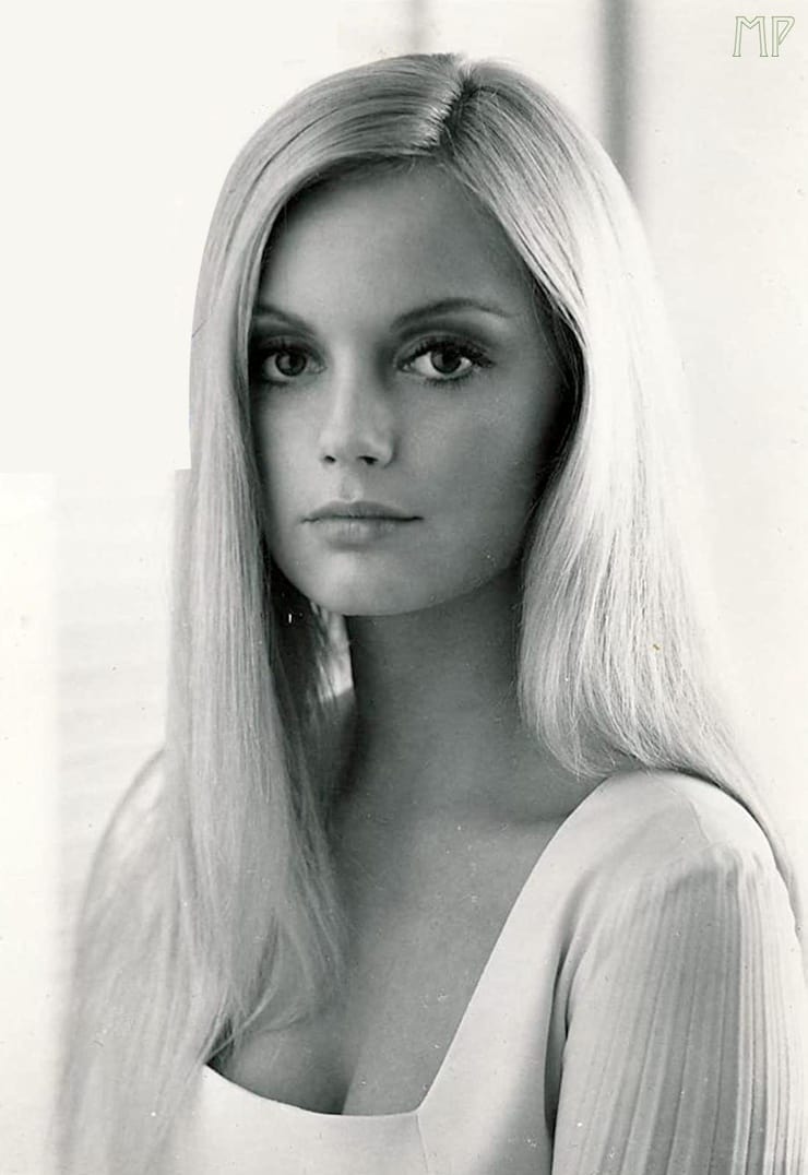 Picture of Model Shop