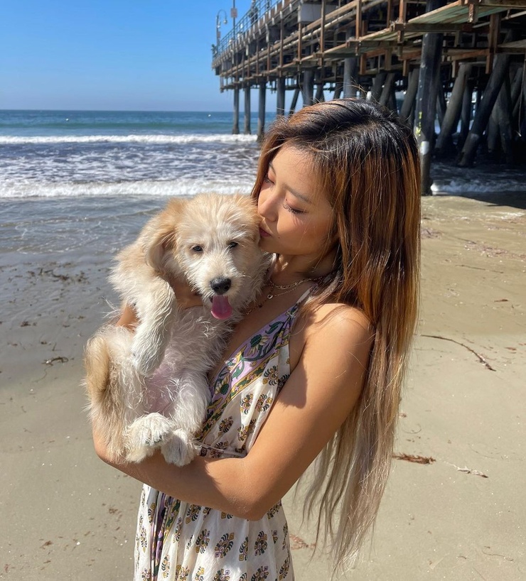 Picture of Heyoon Jeong