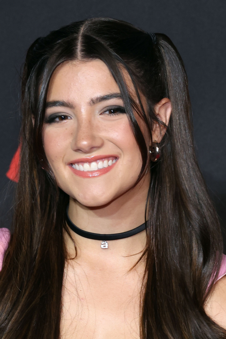 Picture of Charli D'Amelio