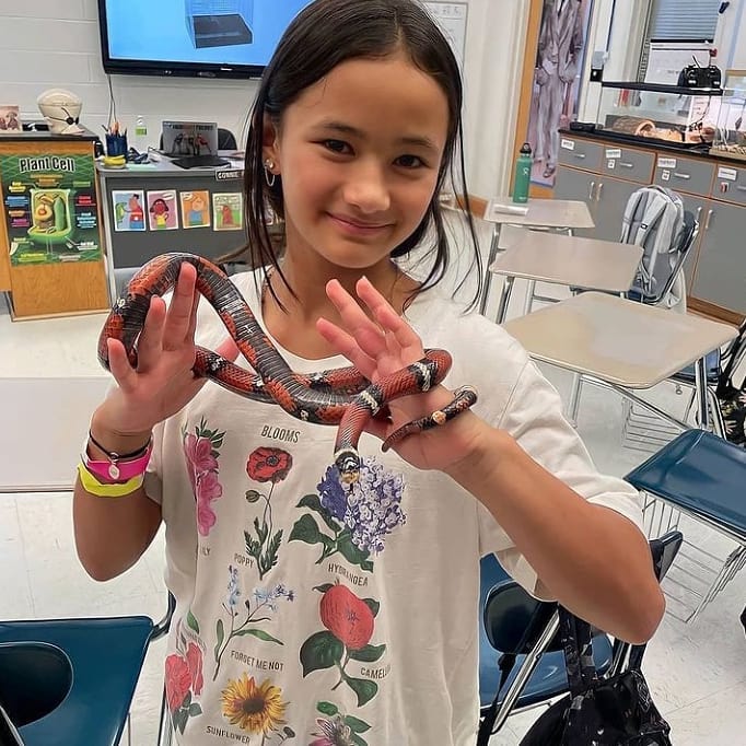 Picture of Kaylee Hottle