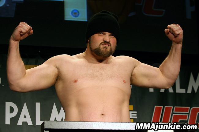 Roy Nelson image