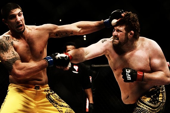 Picture of Roy Nelson