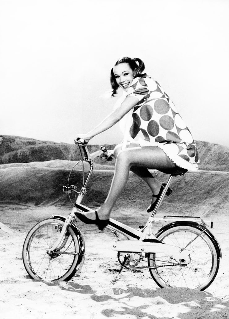 Picture of Solvi Stubing