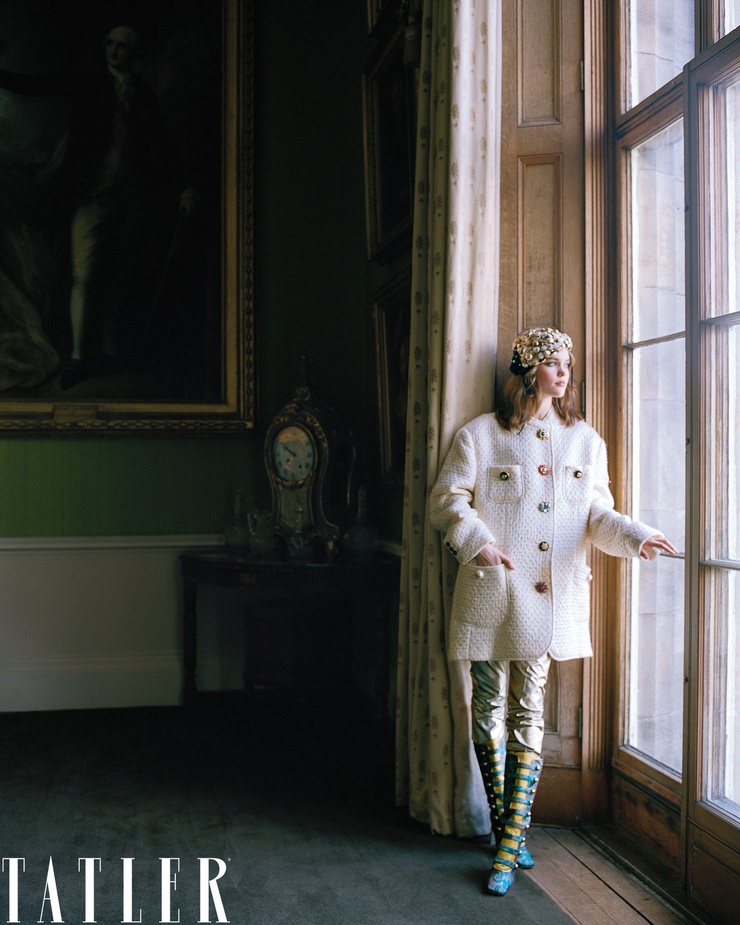 Picture of Delphi Primrose