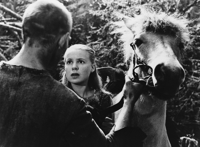 Image of The Virgin Spring