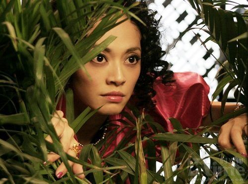 Fei chang wan mei picture