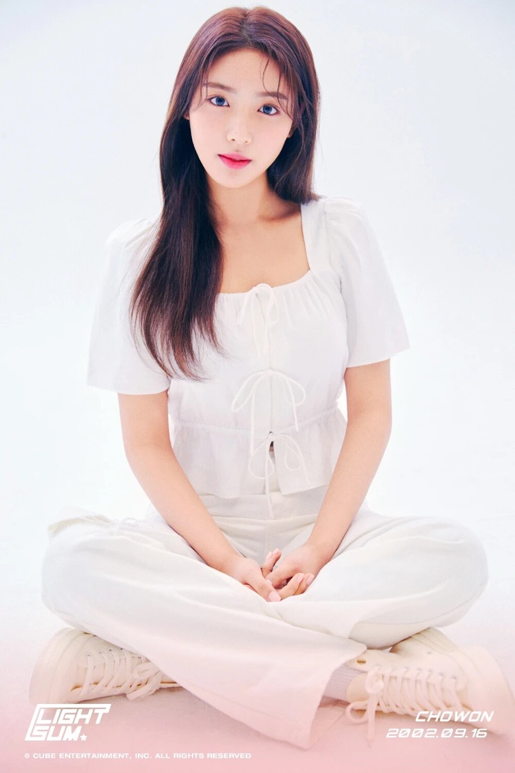 Picture of Cho-won Han