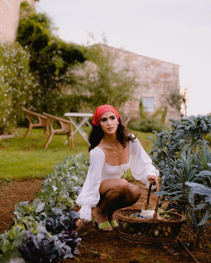 Picture of Juny Breeze