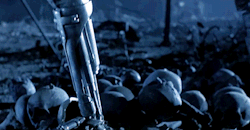 Picture of Terminator 2: Judgment Day