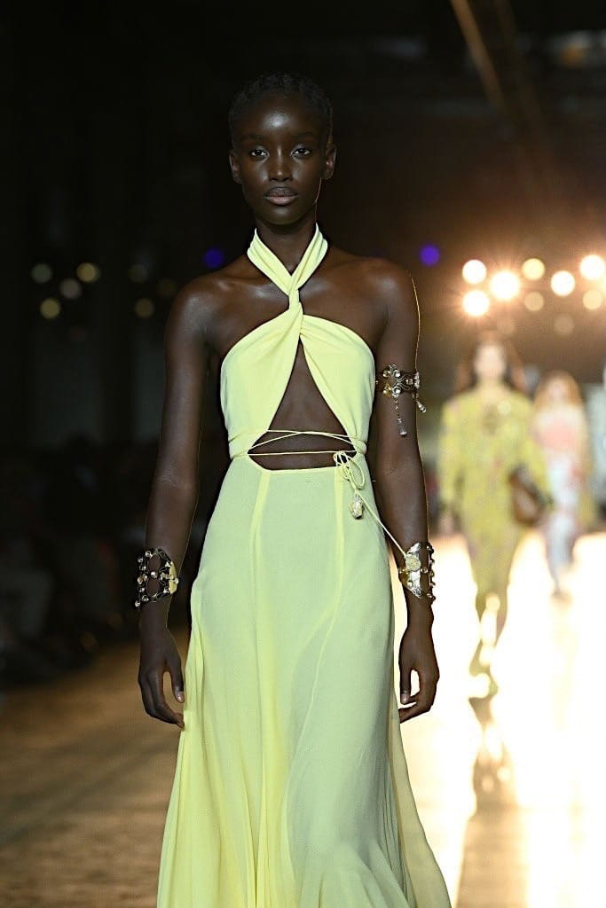 Picture of Maty Fall