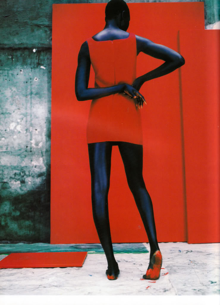 Picture of Alek Wek