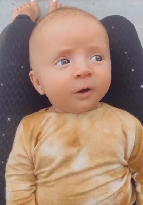 Zealand labrant picture