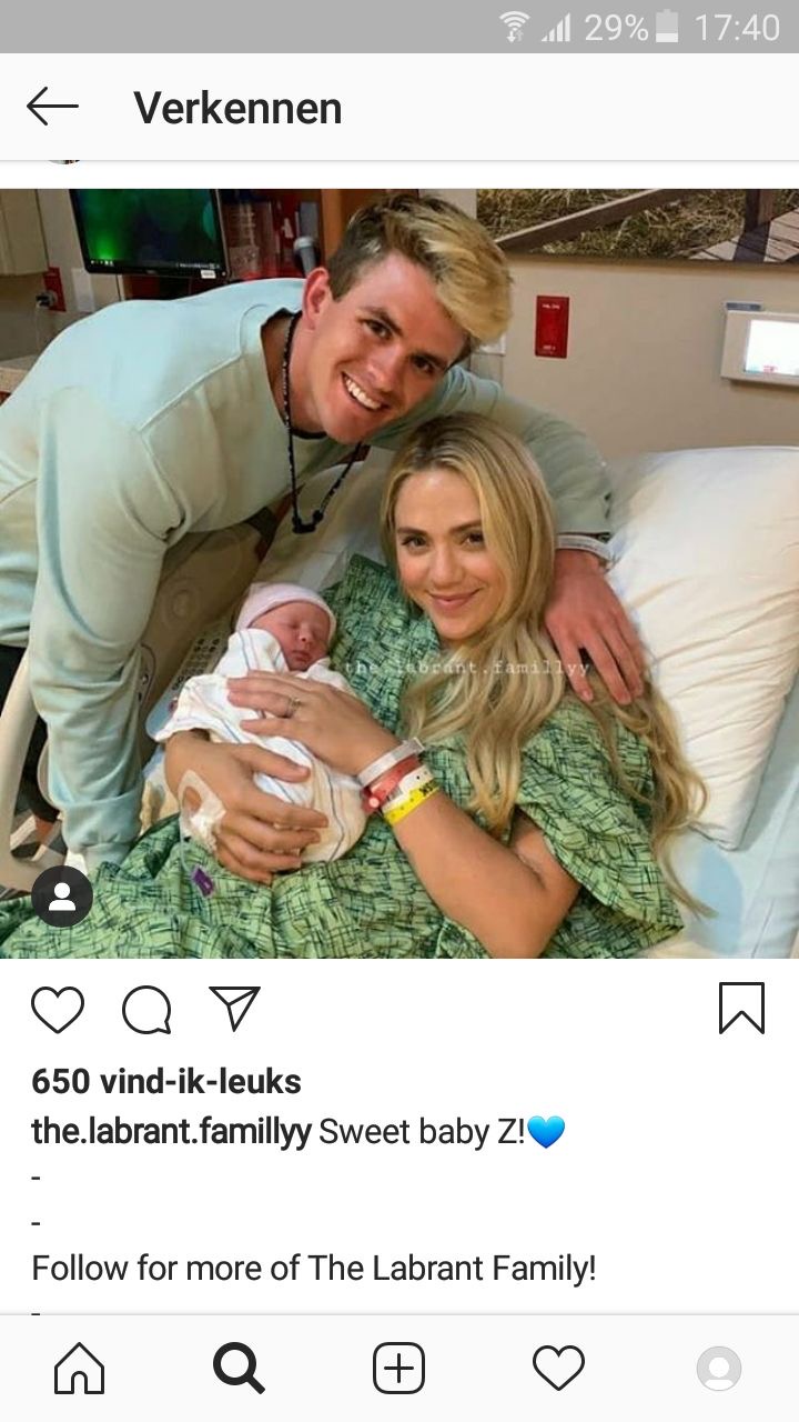 Picture of Zealand labrant