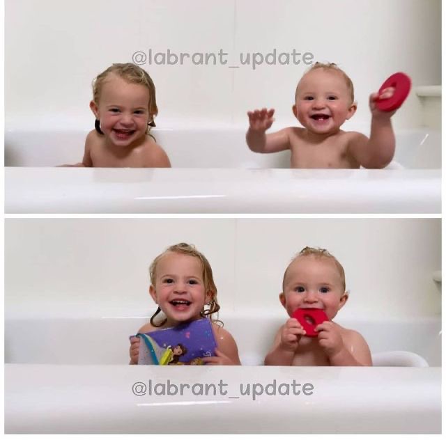 Picture of Zealand labrant