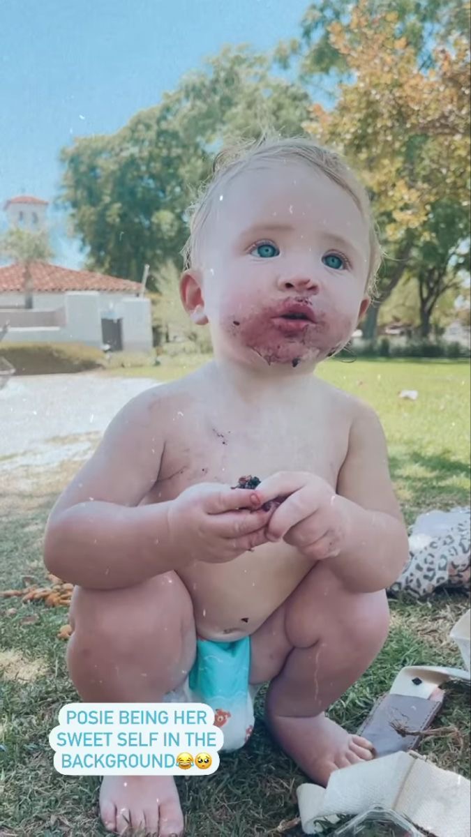 Picture of Zealand labrant