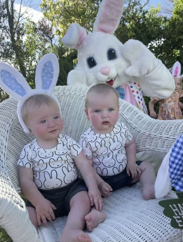 Zealand labrant picture